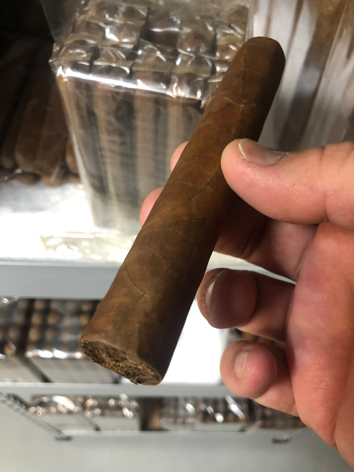 HABANO CRIOLLO — TABACART CIGARS